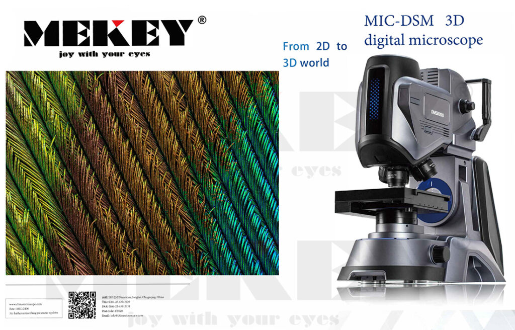 MIC-DMS1000 3D digital microscope – Microscope manufacturer in China ...